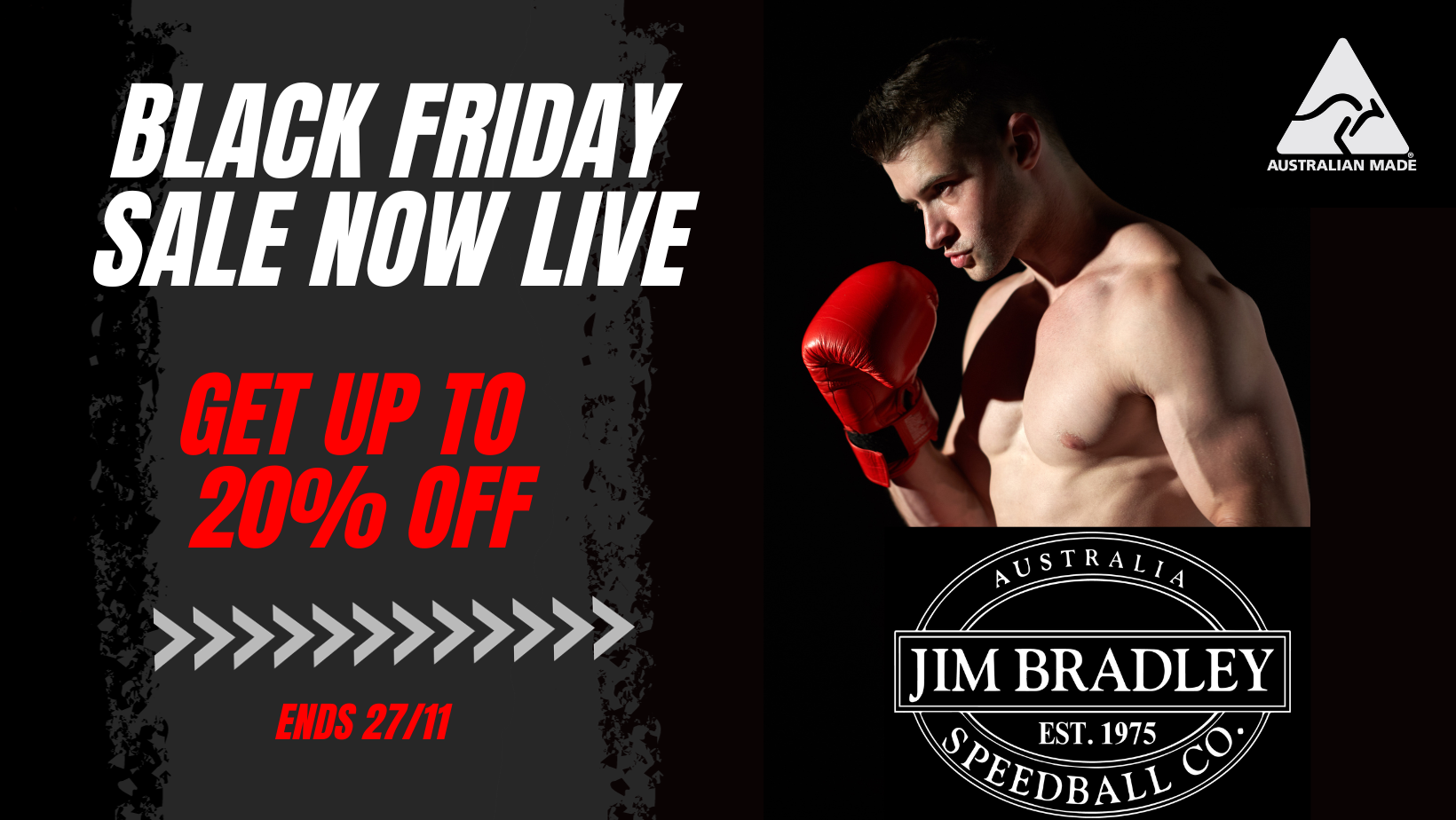 Speedballs, Punching Bags & Quality Boxing Equipment Australian Made ...