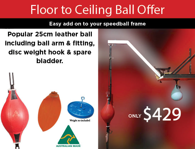 Floor to Ceiling Wall Arm Combo – Jim Bradley Speedball